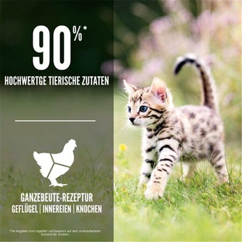 Orijen Kitten | Pack Double | 2 x 340 g | Aliment Sec Comple | Isleden